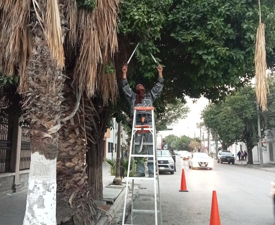 DAN MANTENIMIENTO A ÁREAS PÚBLICAS EN GÓMEZ PALACIO – Angel Reyna